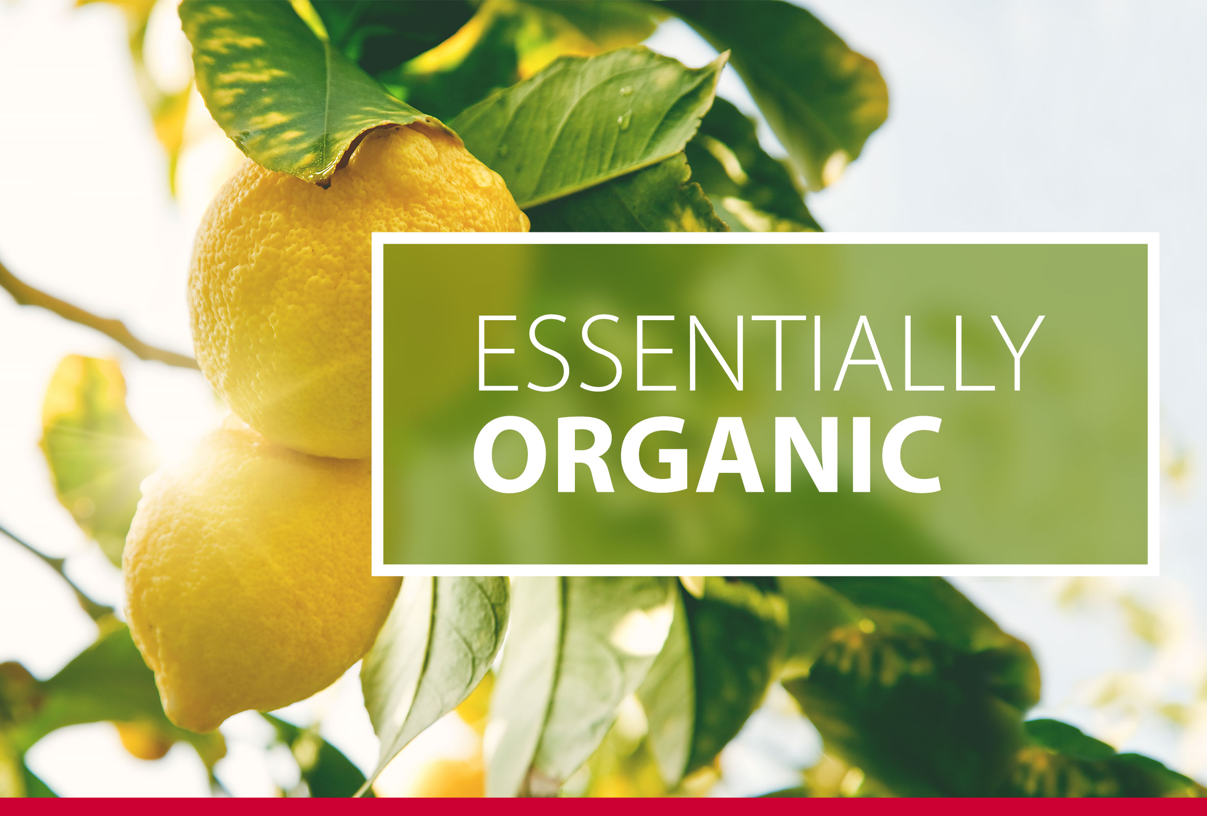 Organic label compliance: Bell Flavors debuts EU organic-certified ...