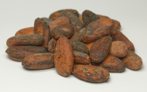 Scientists precisely determine cocoa’s flavor profile with new methodology